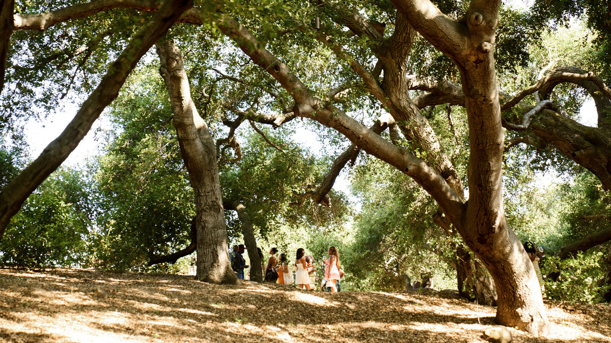 Become a member – Casa Locé